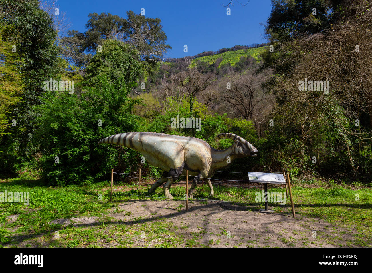 Naples (Italy) - The Cratere degli Astroni Nature Reserve is one of the ...