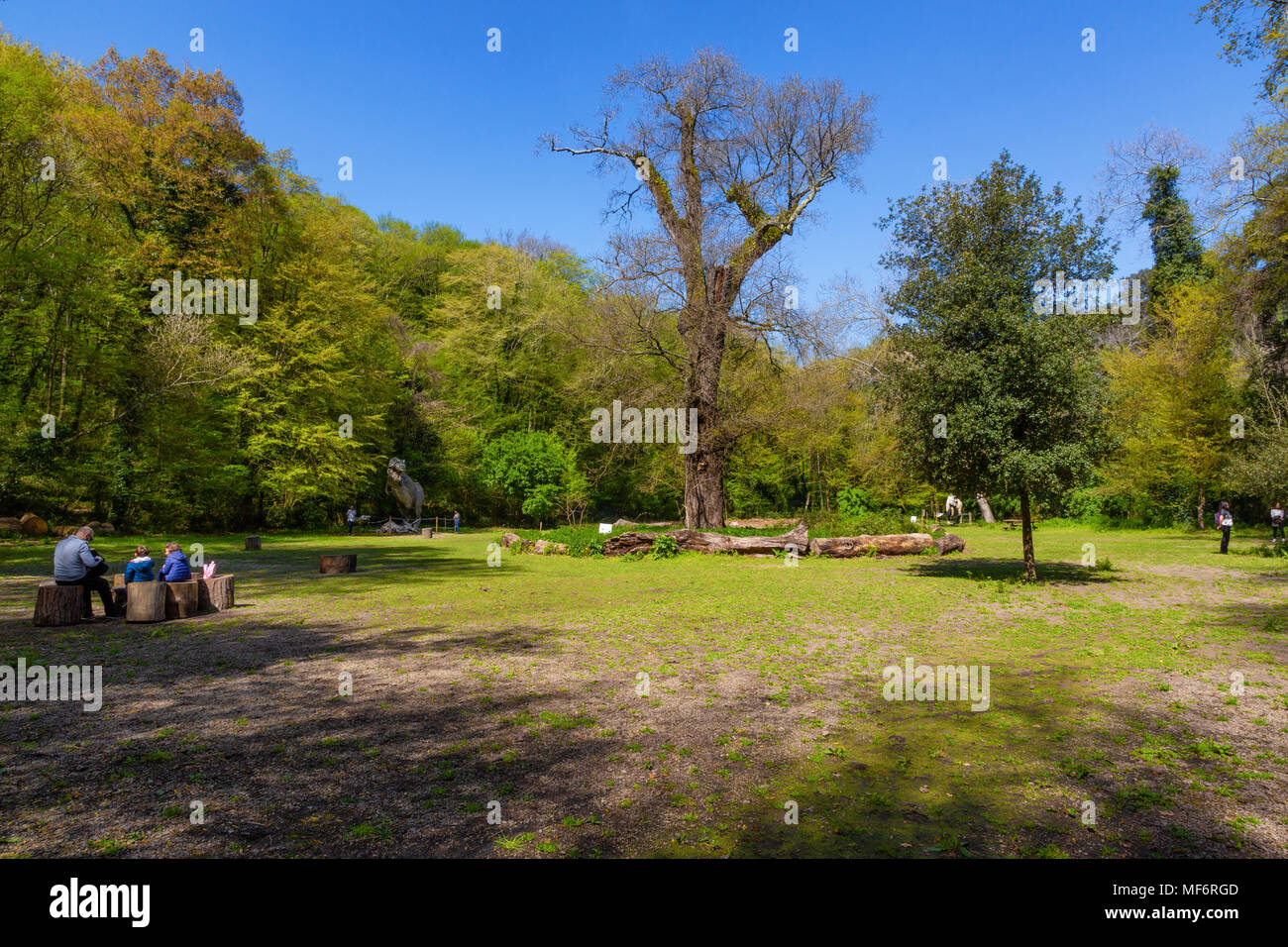 Naples (Italy) - The Cratere degli Astroni Nature Reserve is one of the ...