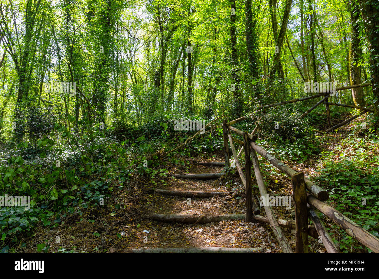 Naples (Italy) - The Cratere degli Astroni Nature Reserve is one of the ...