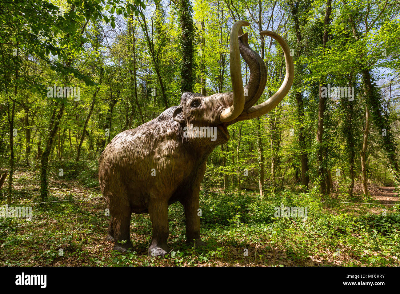 Naples (Italy) - The Cratere degli Astroni Nature Reserve is one of the ...