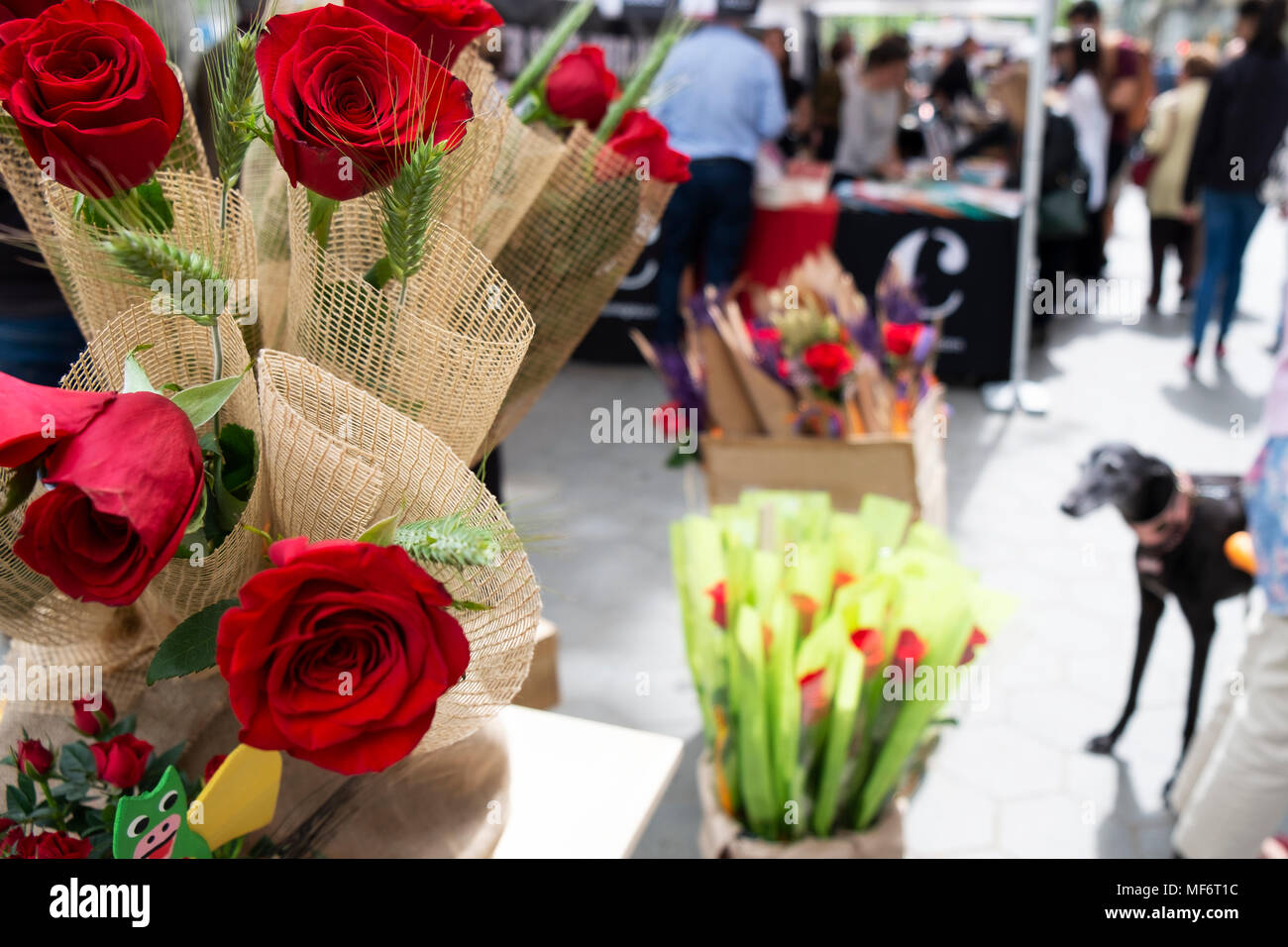 Give roses hi-res stock photography and images - Alamy