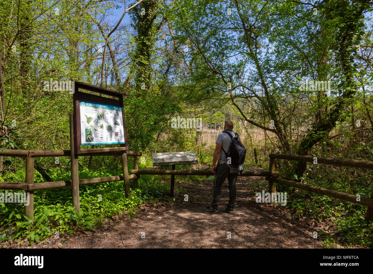 Naples (Italy) - The Cratere degli Astroni Nature Reserve is one of the ...