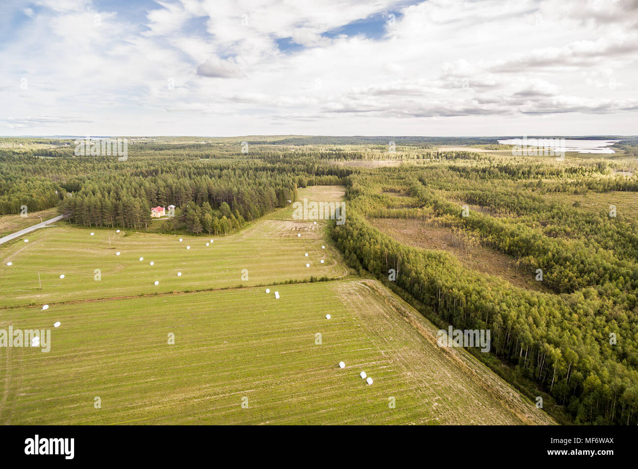 Farmhouse aerial with fields, forests and a country road Stock Photo ...