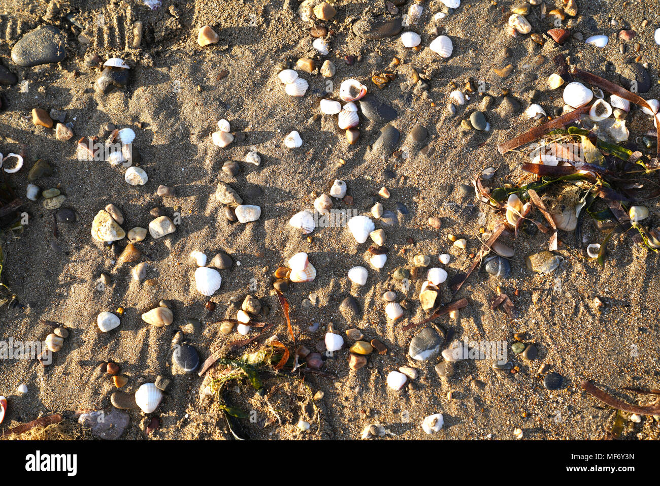 Ocean debris hi-res stock photography and images - Alamy