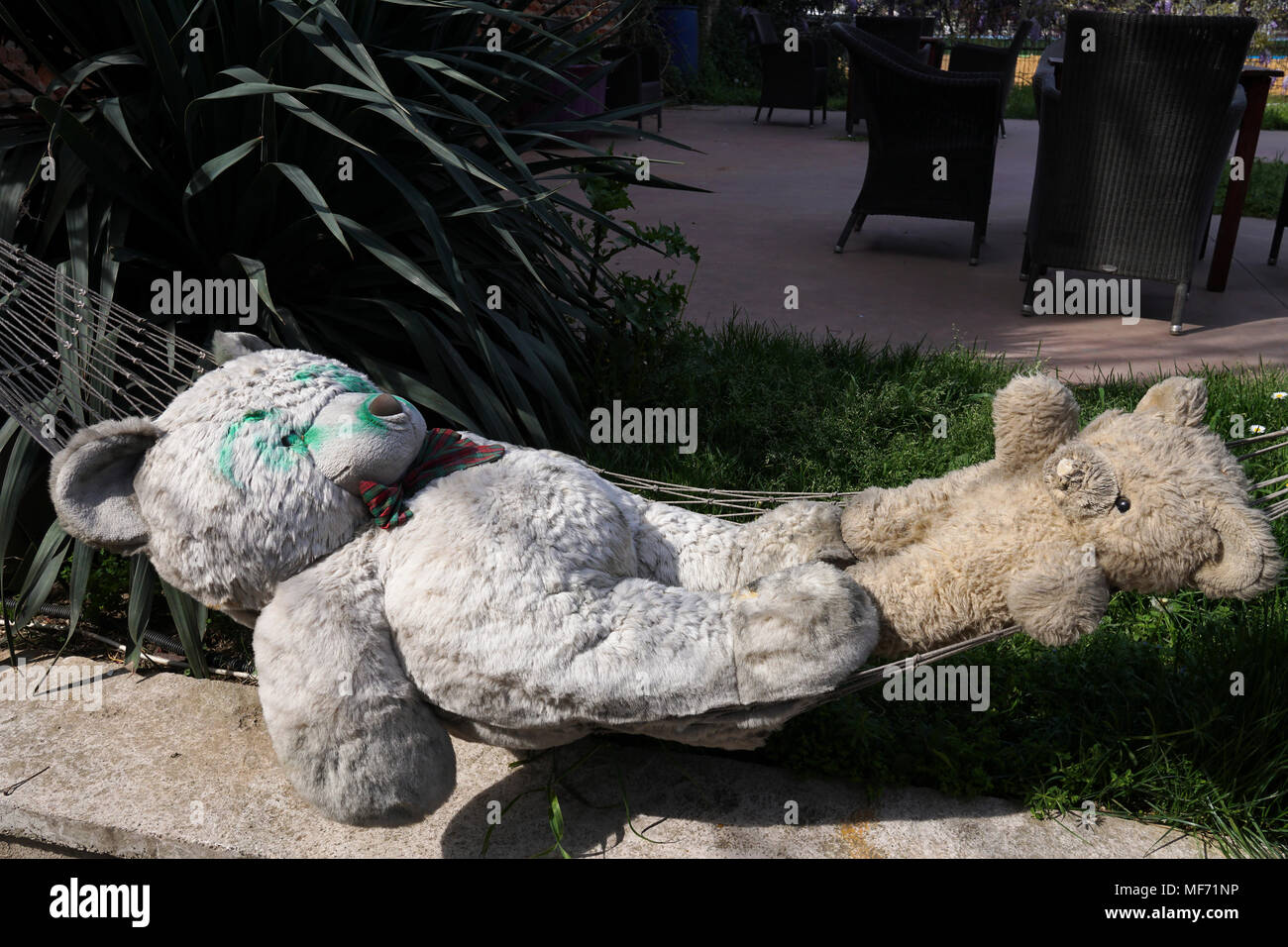 Teddy bears are resting on hammock Stock Photo - Alamy