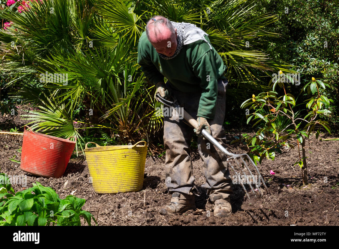 Glendurgan Garden High Resolution Stock Photography and Images - Alamy