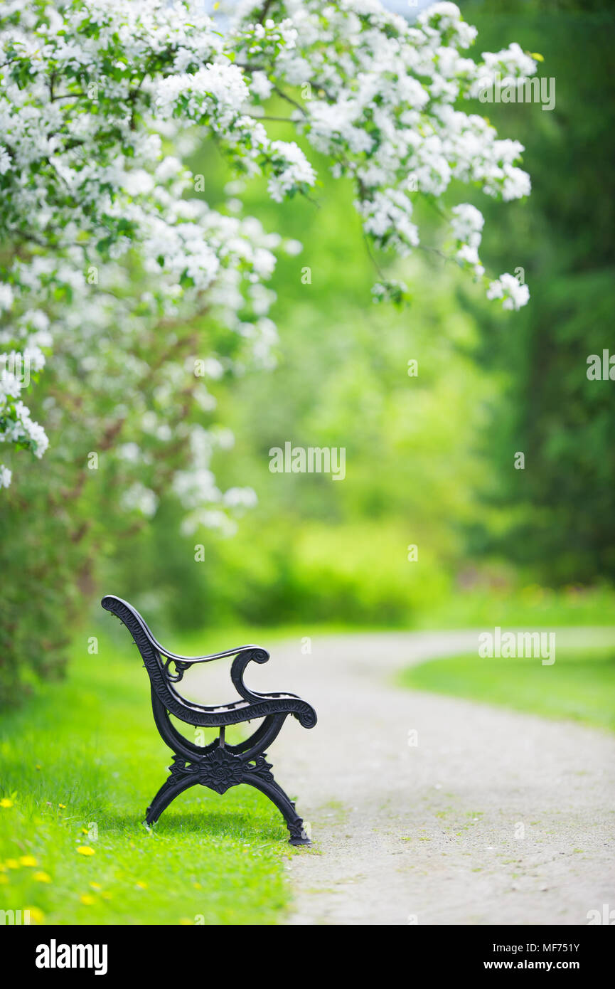Old fashioned garden bench hi-res stock photography and images - Alamy