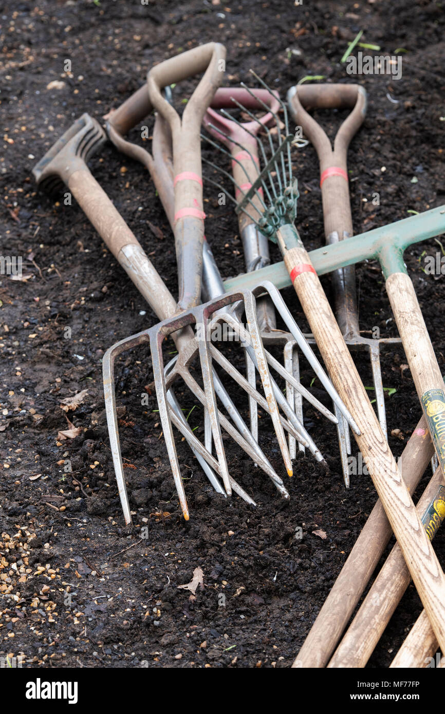 Garden forks and a grass rake on soil. UK Stock Photo - Alamy
