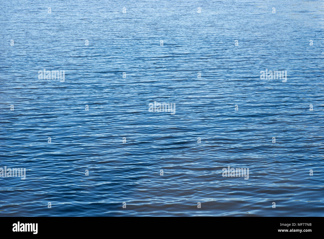 Dark blue backgrounds summer hi-res stock photography and images - Alamy