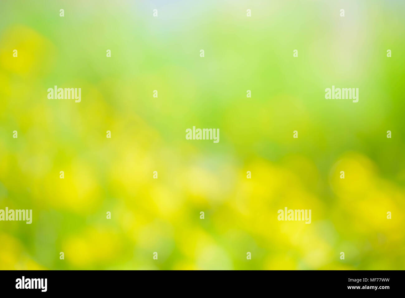 Meadow backdrop hi-res stock photography and images - Alamy