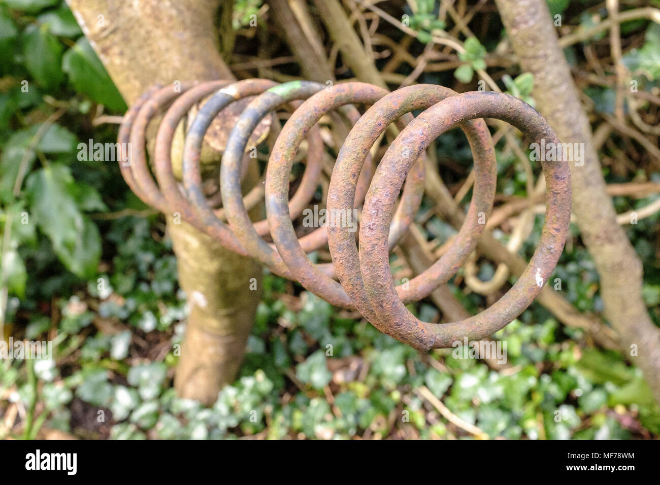 Decorative use of a rusty spring in a garden setting Stock Photo - Alamy