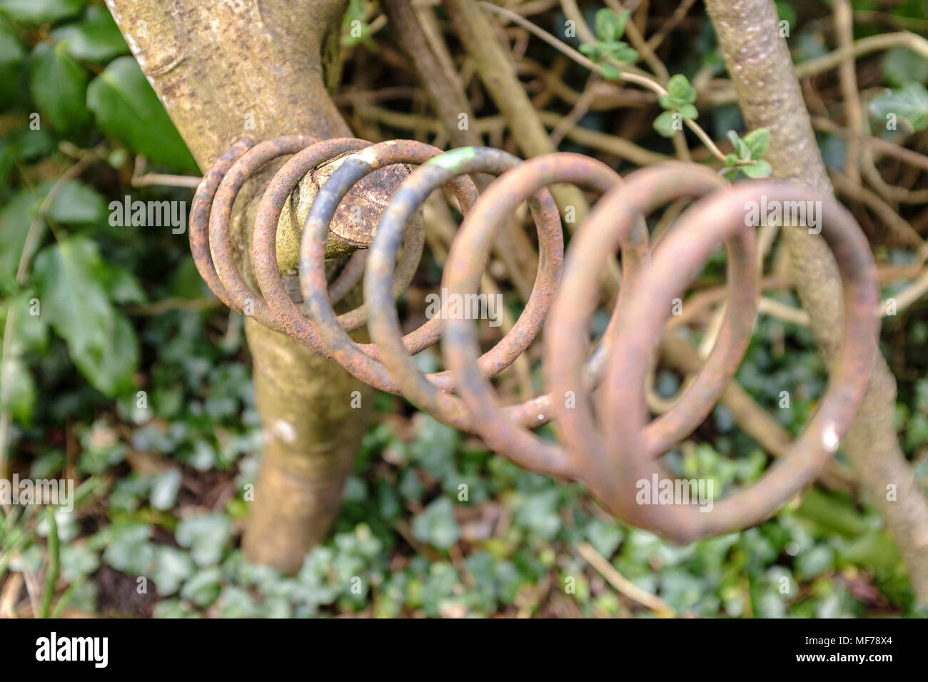 Decorative use of a rusty spring in a garden setting Stock Photo - Alamy