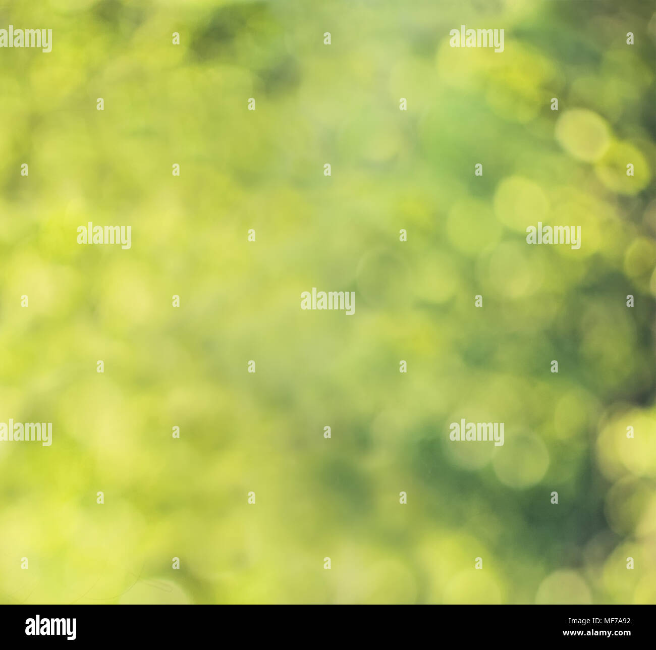 Abstract Green Bokeh Background. Summer Soft Focus Texture Stock Photo ...