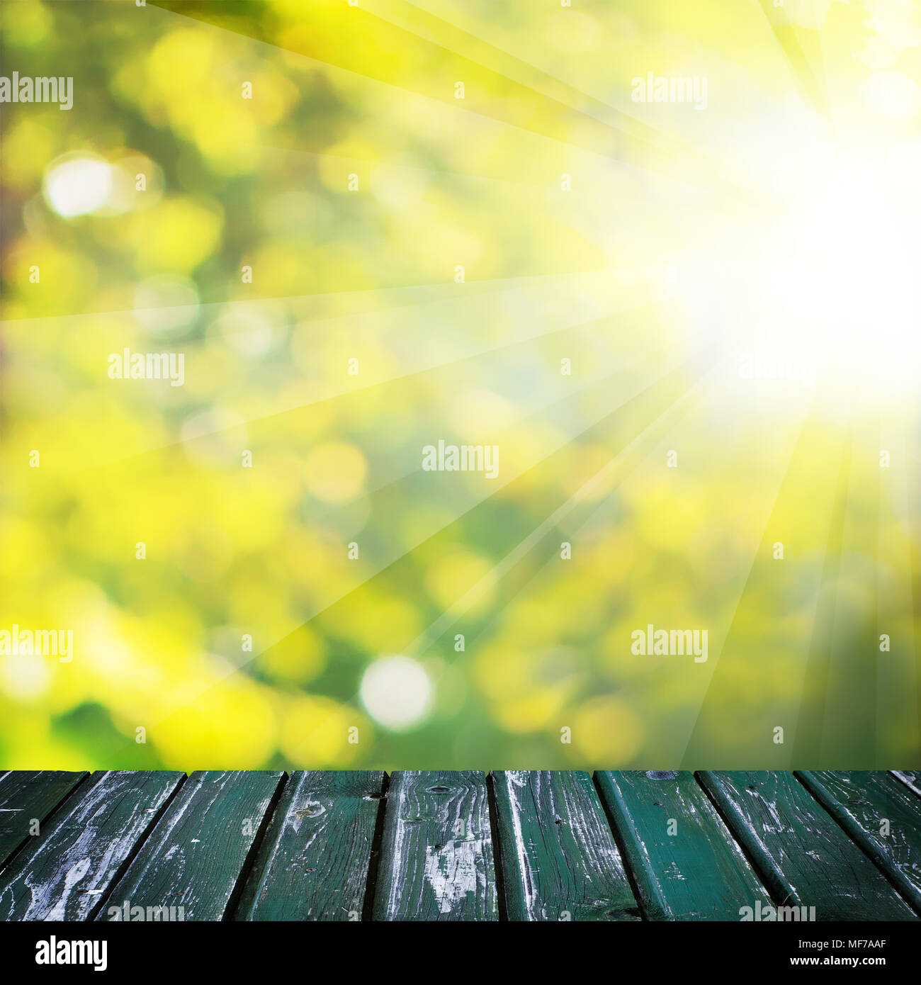 Abstract Green Soft Focus Bokeh, Sunlight and Empty Wooden Board ...