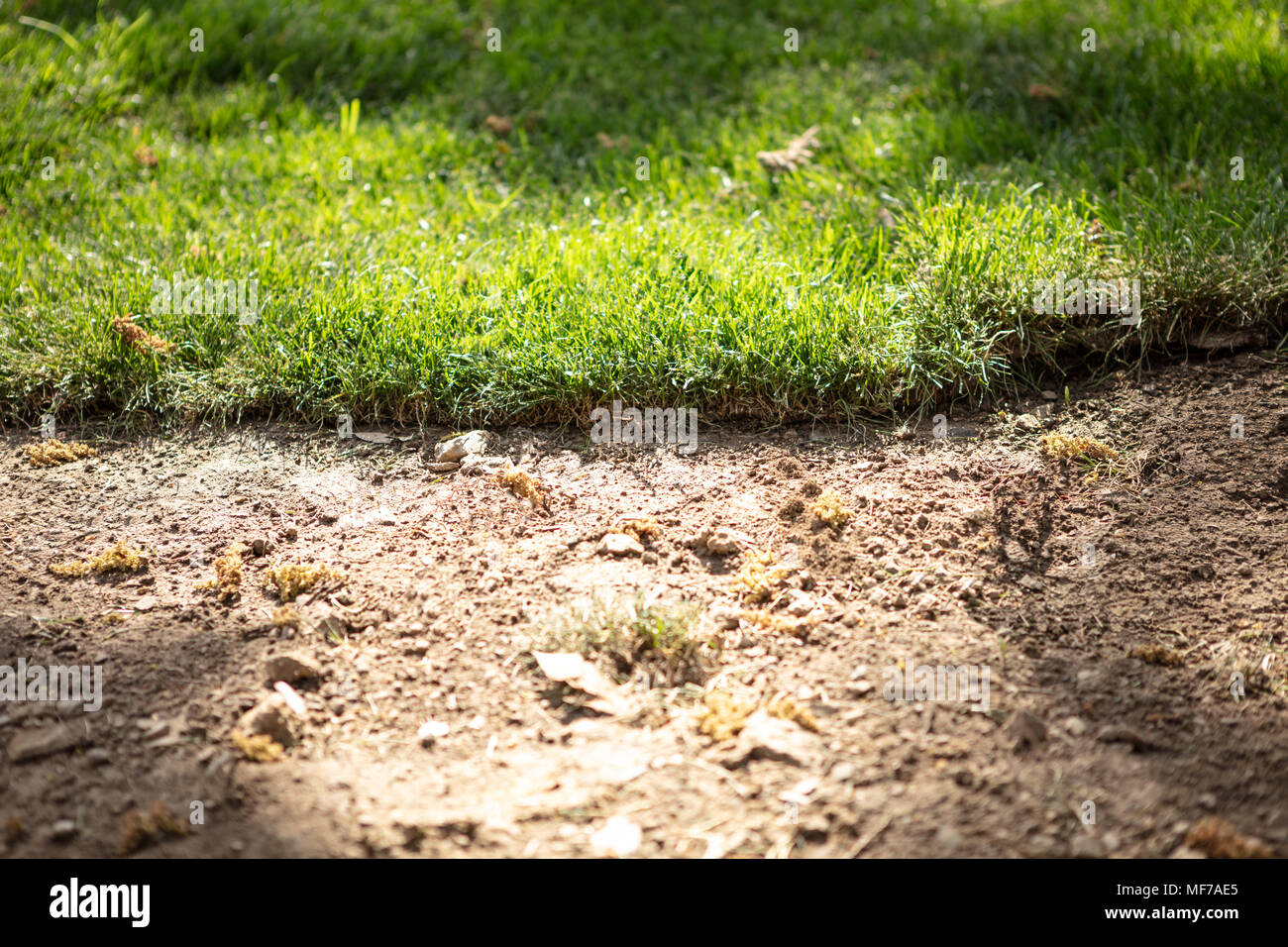 Freshly laid turf hi-res stock photography and images - Alamy