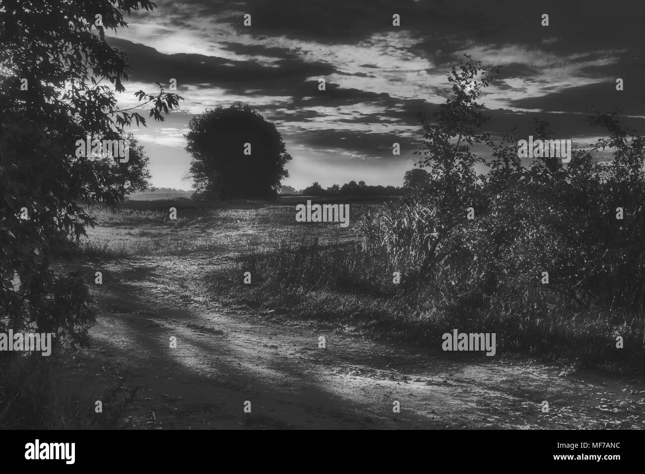 Müncheberg Black and White Stock Photos & Images - Alamy