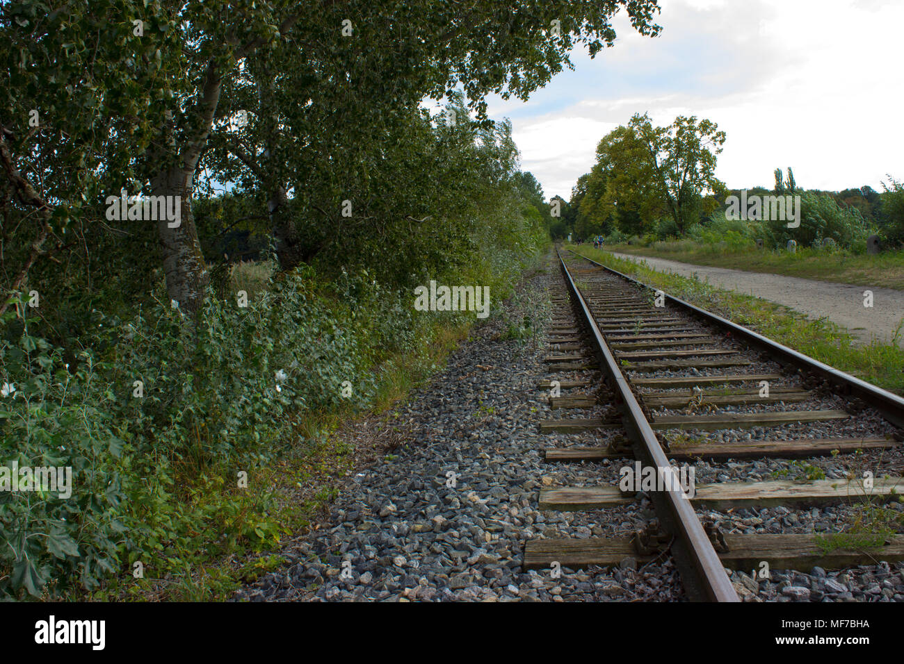 Railroad tracks are running behind the horizon. Trees and bushes grow ...