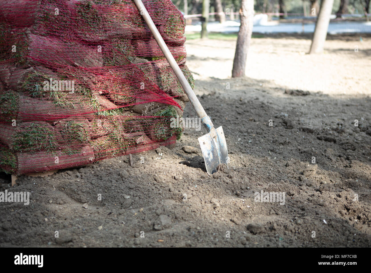 Pile of grass twisted into a roll soil with a shovel in the background ...