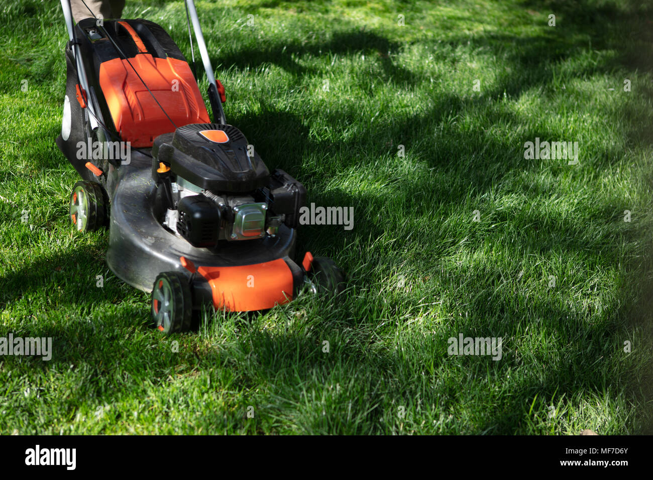 Orange Lawn mower cutting grass. Gardening concept background Stock ...