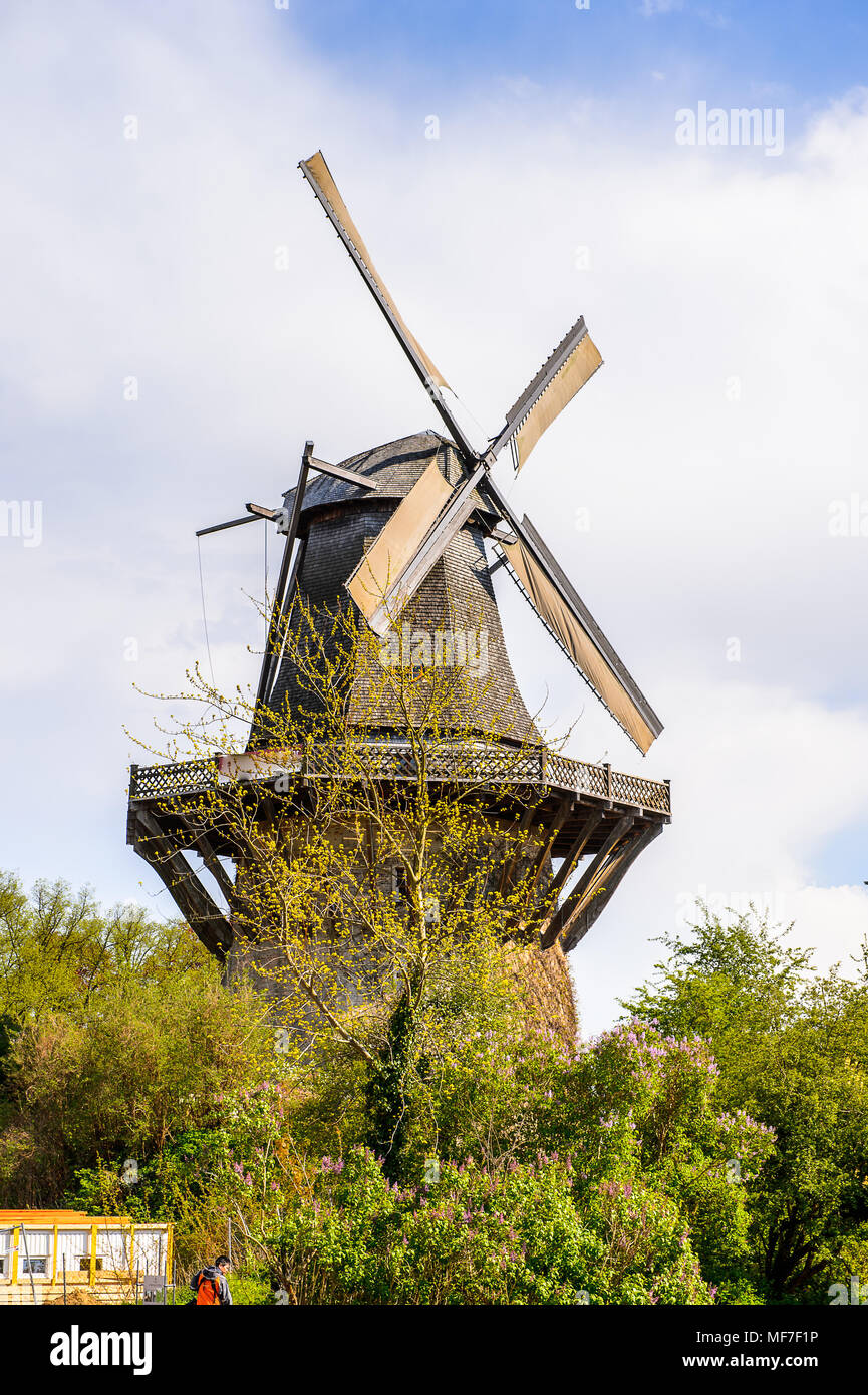 Windmill in Potsdam near Berlin Stock Photo - Alamy