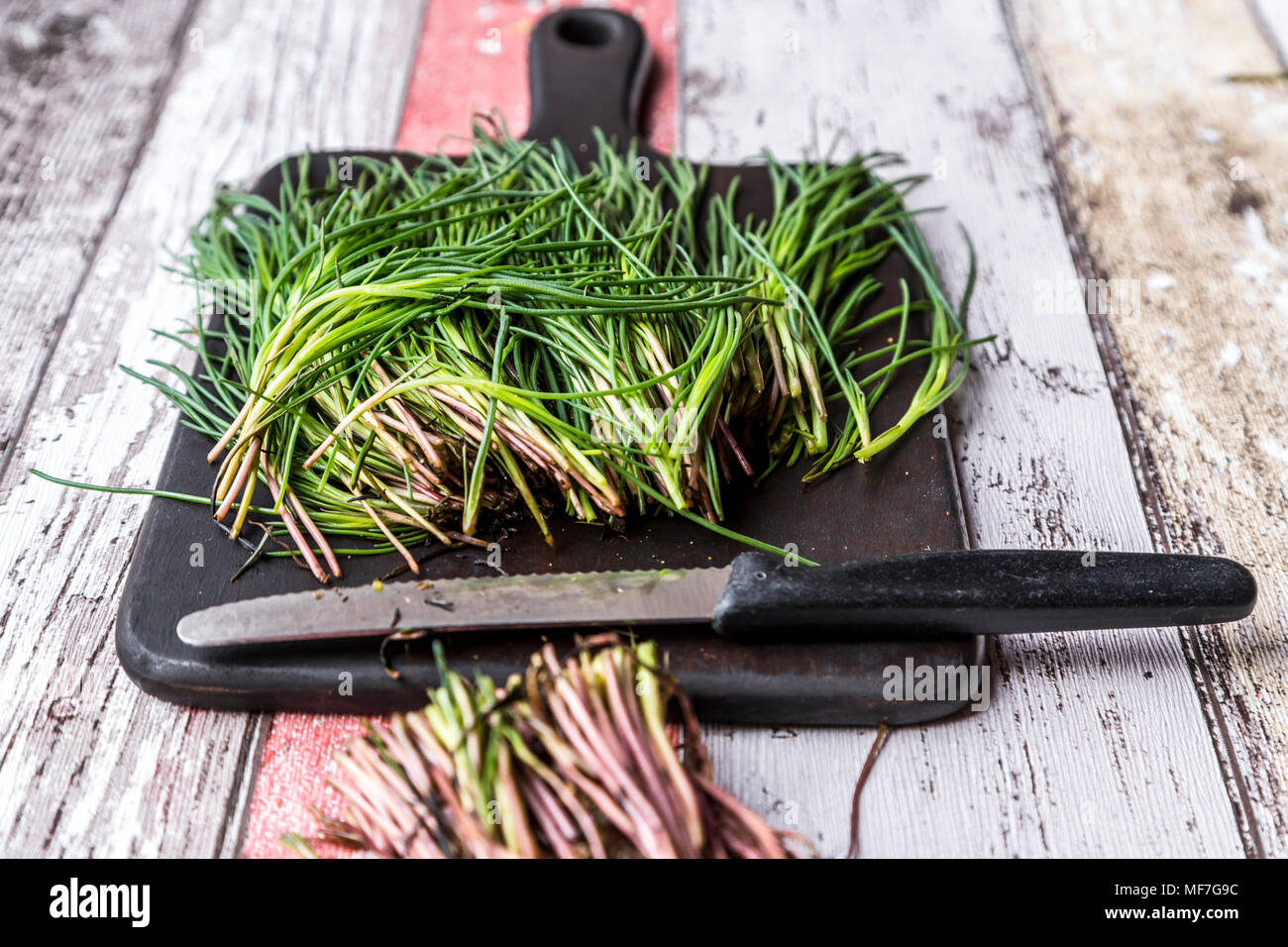 Saltwort hi-res stock photography and images - Alamy