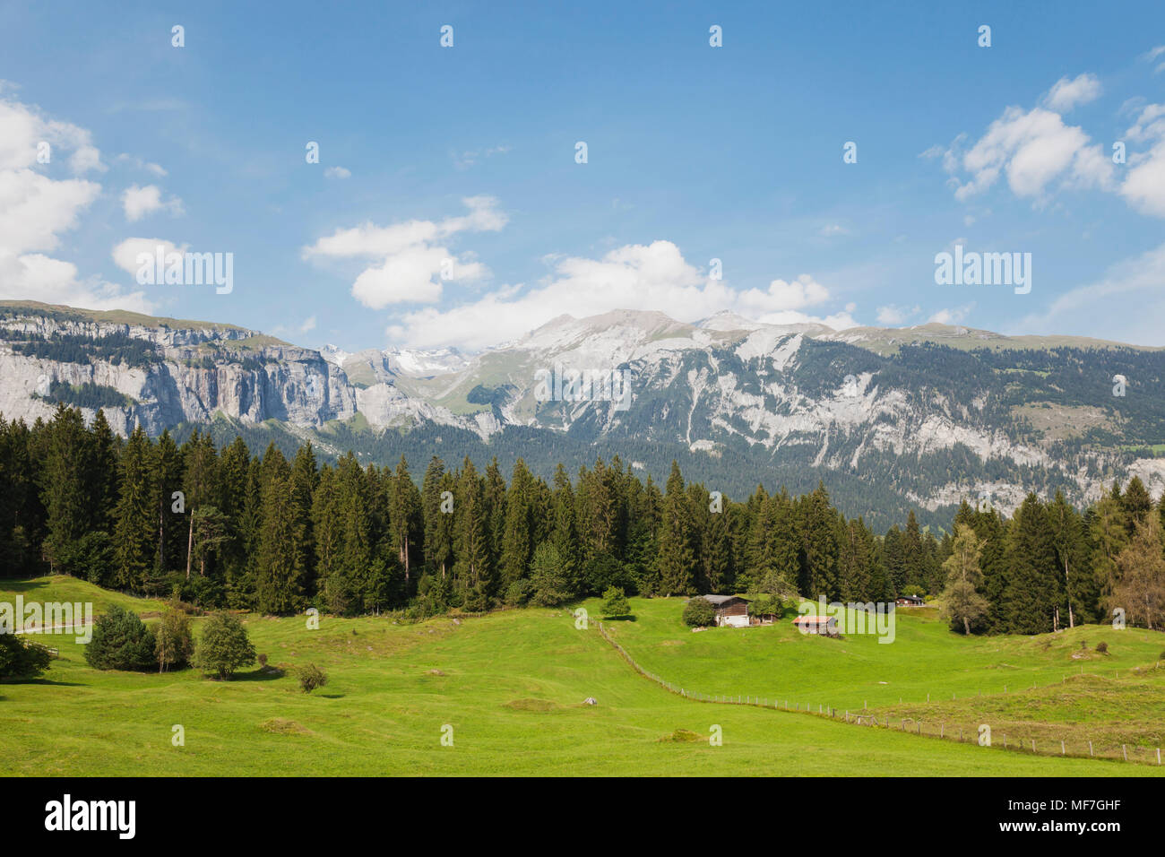 Switzerland, Grisons, Grison Alps, alpine meadows and view of Alps at ...