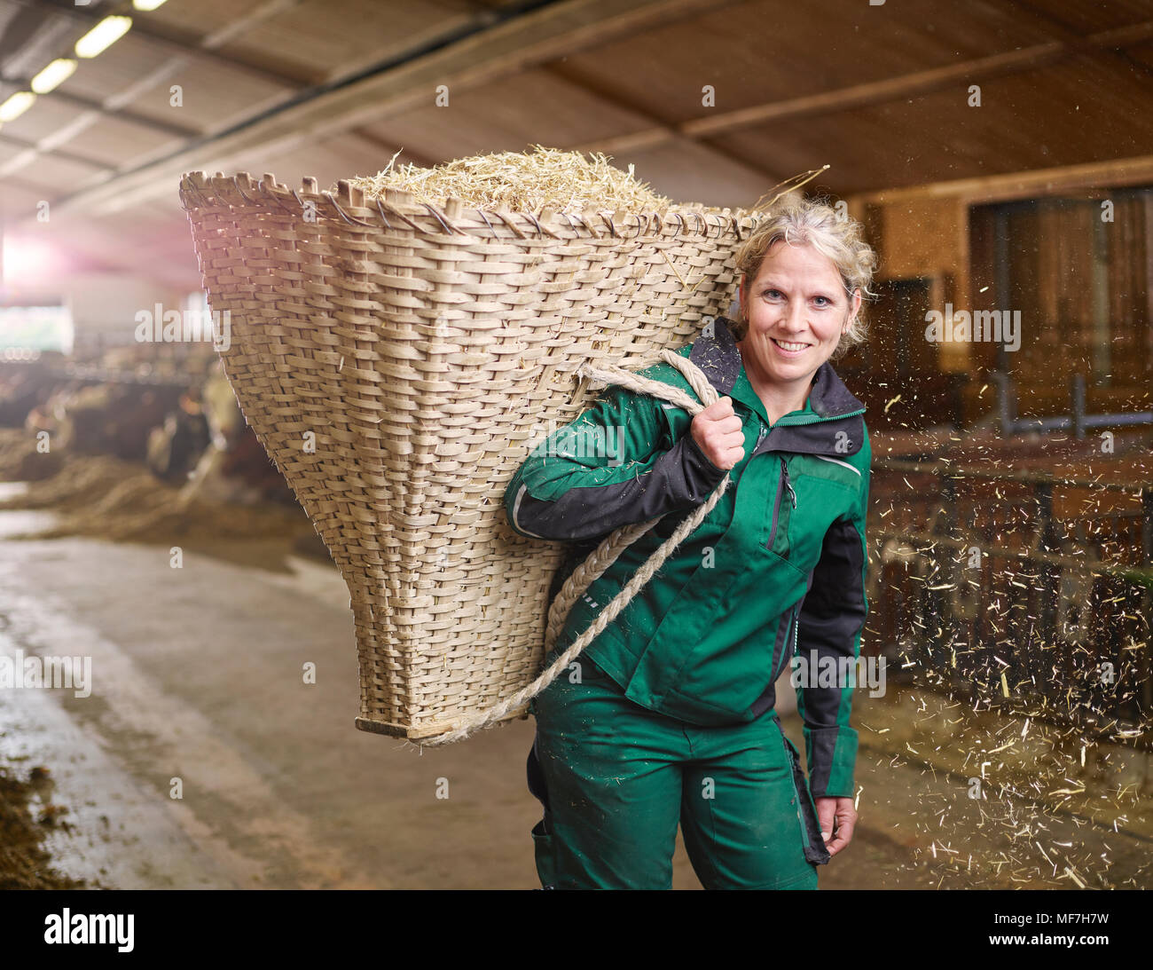 Carrying basket hi-res stock photography and images - Alamy