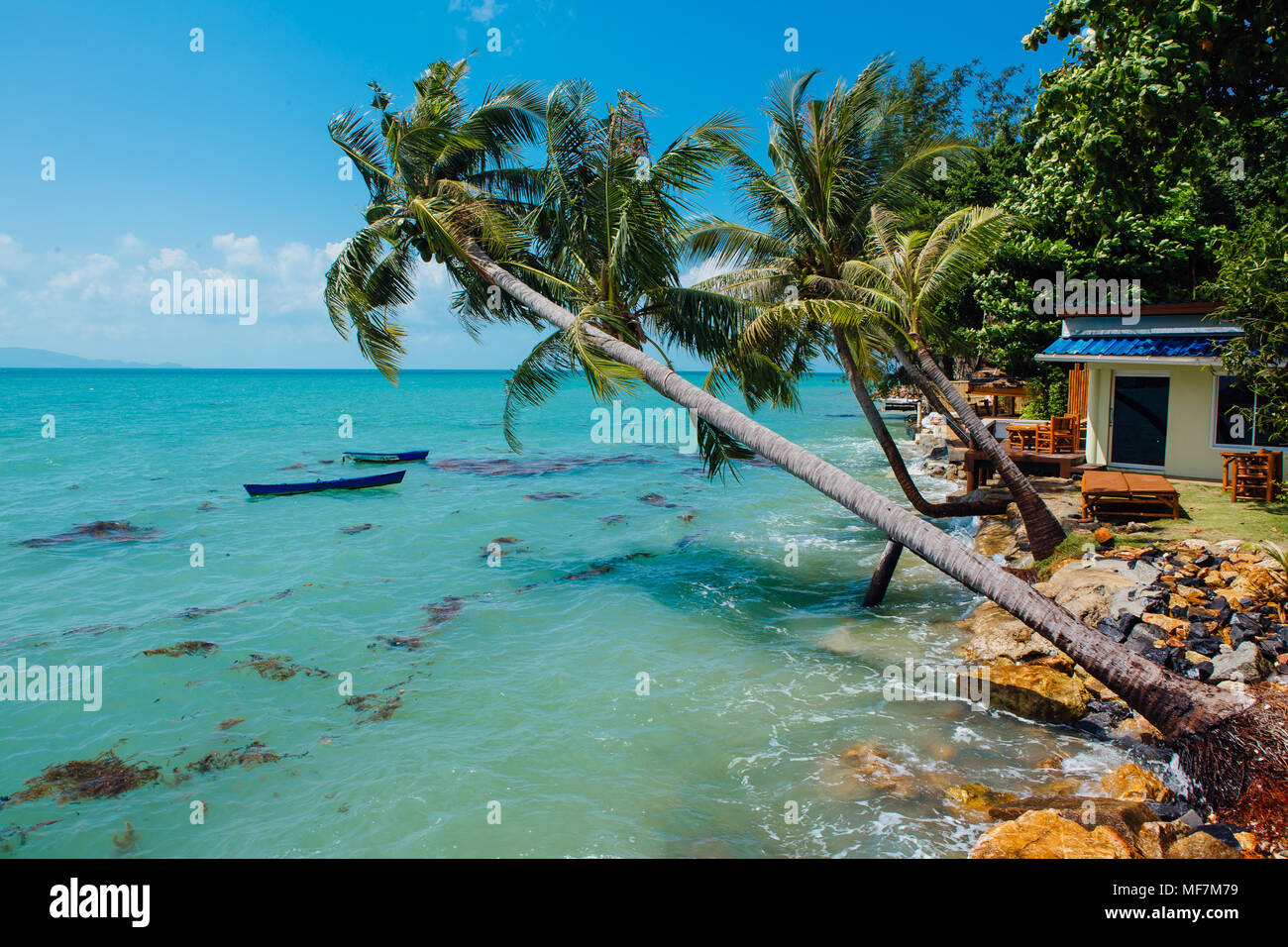 Leaning palm trees over the sea and two boats. Copy space Stock Photo ...