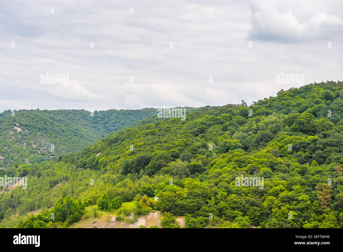 Nature near the river Rhine in Germany Stock Photo - Alamy