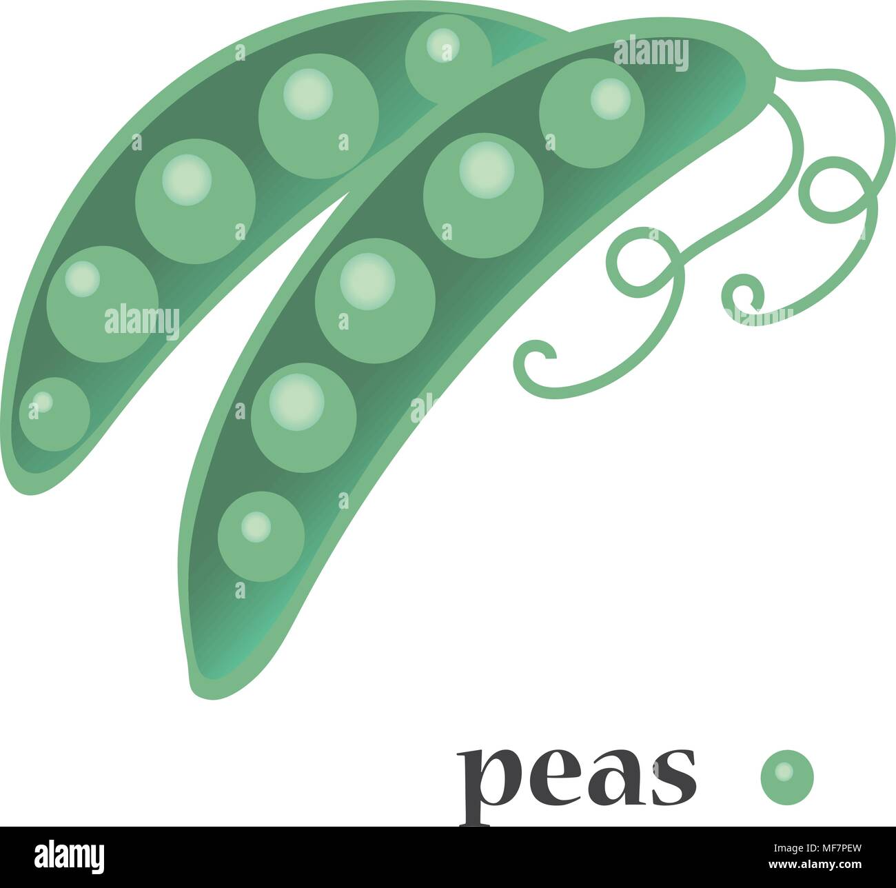 Green Peas vector illustration of closeup. Isolated background Stock ...