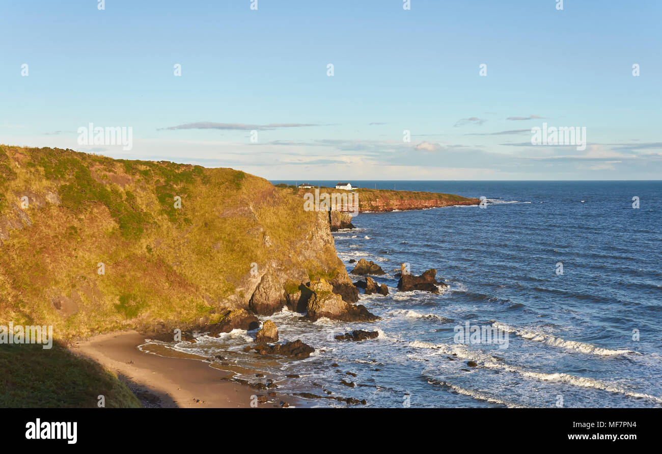 The Headland at the northern end of St Cyrus Beach with the low Autumn ...