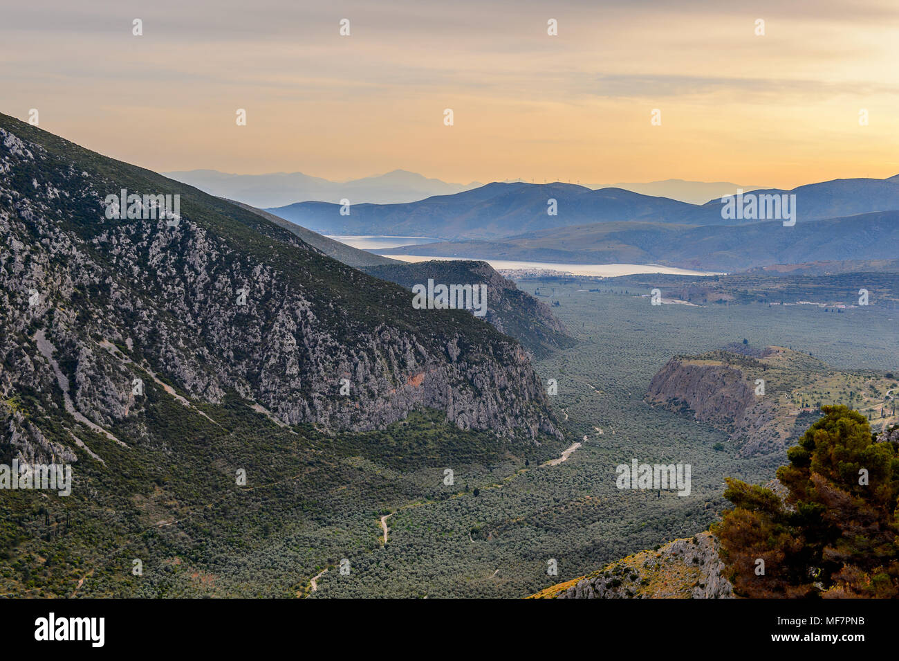 Coast of Delphi, Greece Stock Photo - Alamy