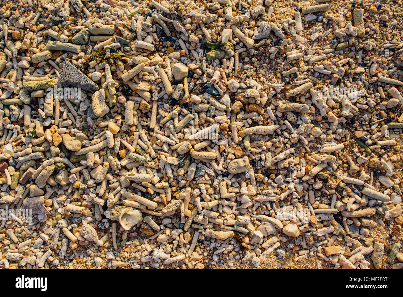 Sea sand texture made of shell and stone pieces Stock Photo - Alamy