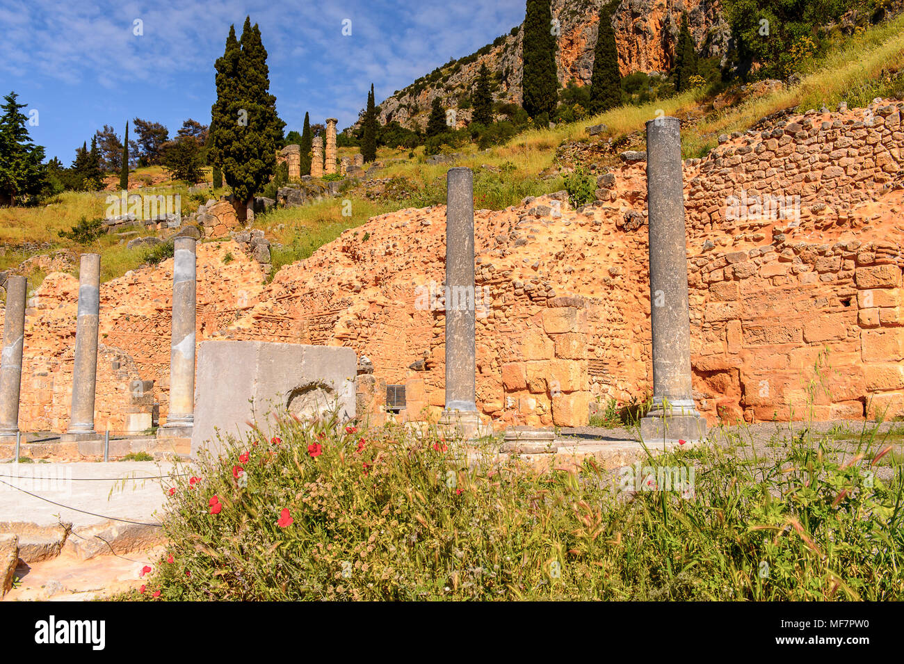 Columns in Delphi, an archaeological site in Greece, at the Mount ...