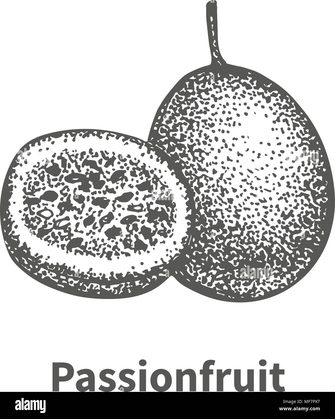 Passion fruit sketch hand Stock Vector Images - Alamy