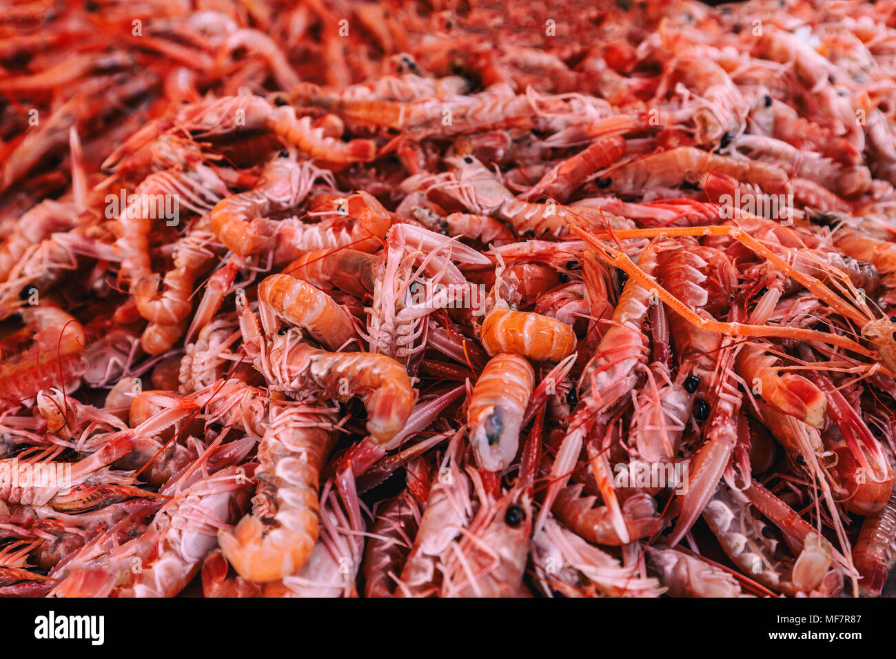 Fresh prawns seafood background, at the fish market Stock Photo - Alamy