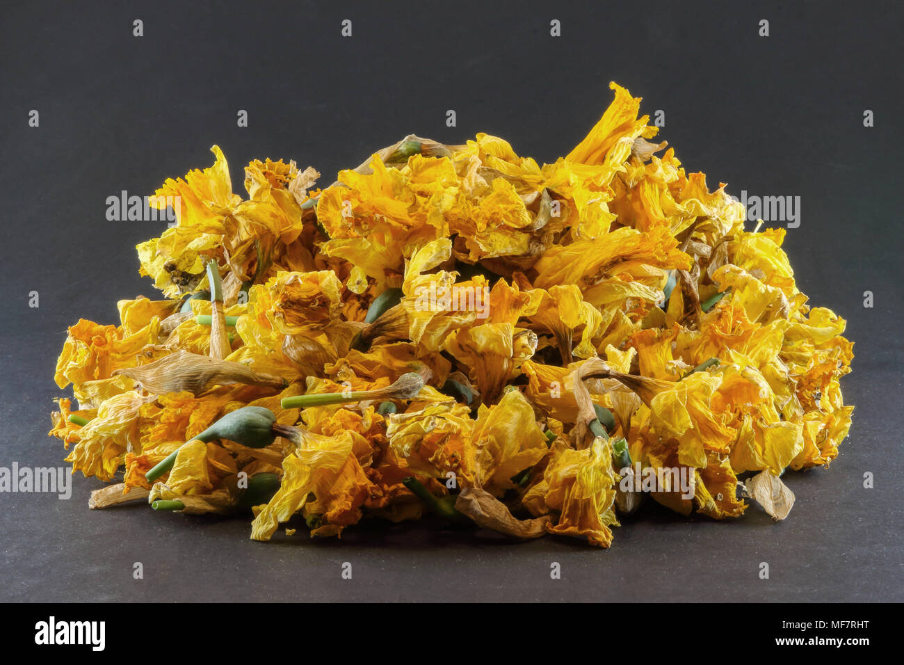 Pile of dead headed daffodils on black background Stock Photo - Alamy