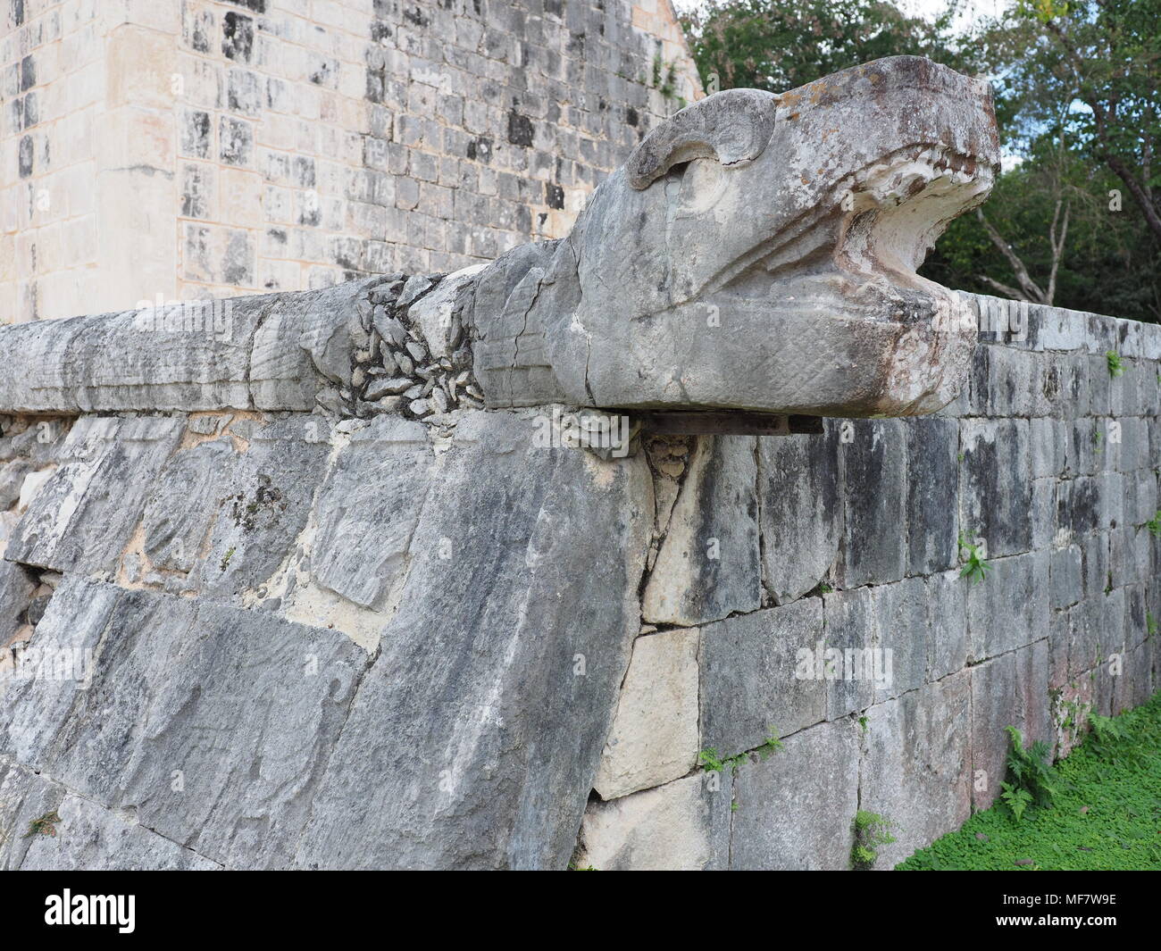 Sculpted stony snake head at mayan ruins of great ball court building ...