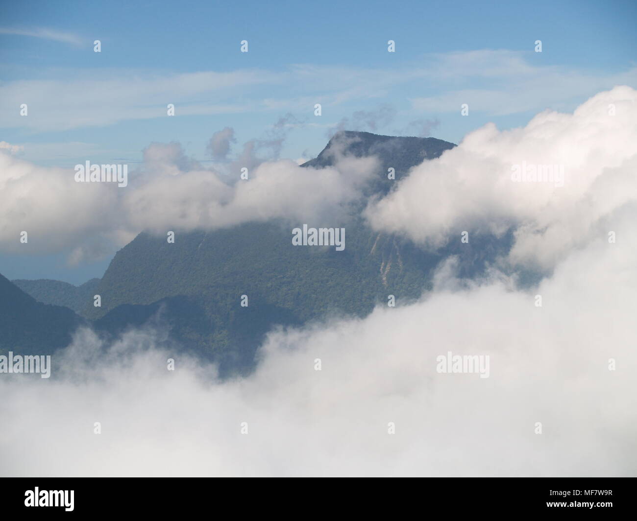 Aerial View of a Rainforest in Sumatra, Indonsia Stock Photo - Alamy