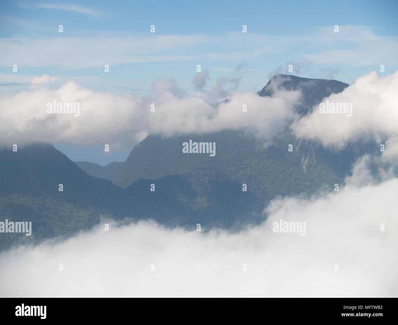 Aerial View of a Rainforest in Sumatra, Indonsia Stock Photo - Alamy