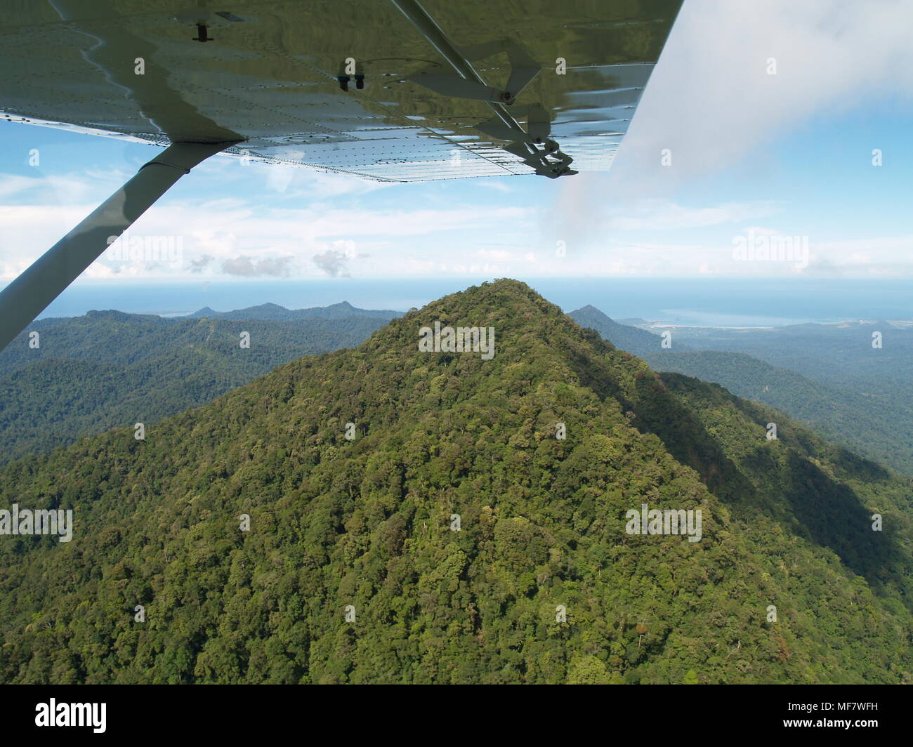 Aerial View of a Rainforest in Sumatra, Indonsia Stock Photo - Alamy
