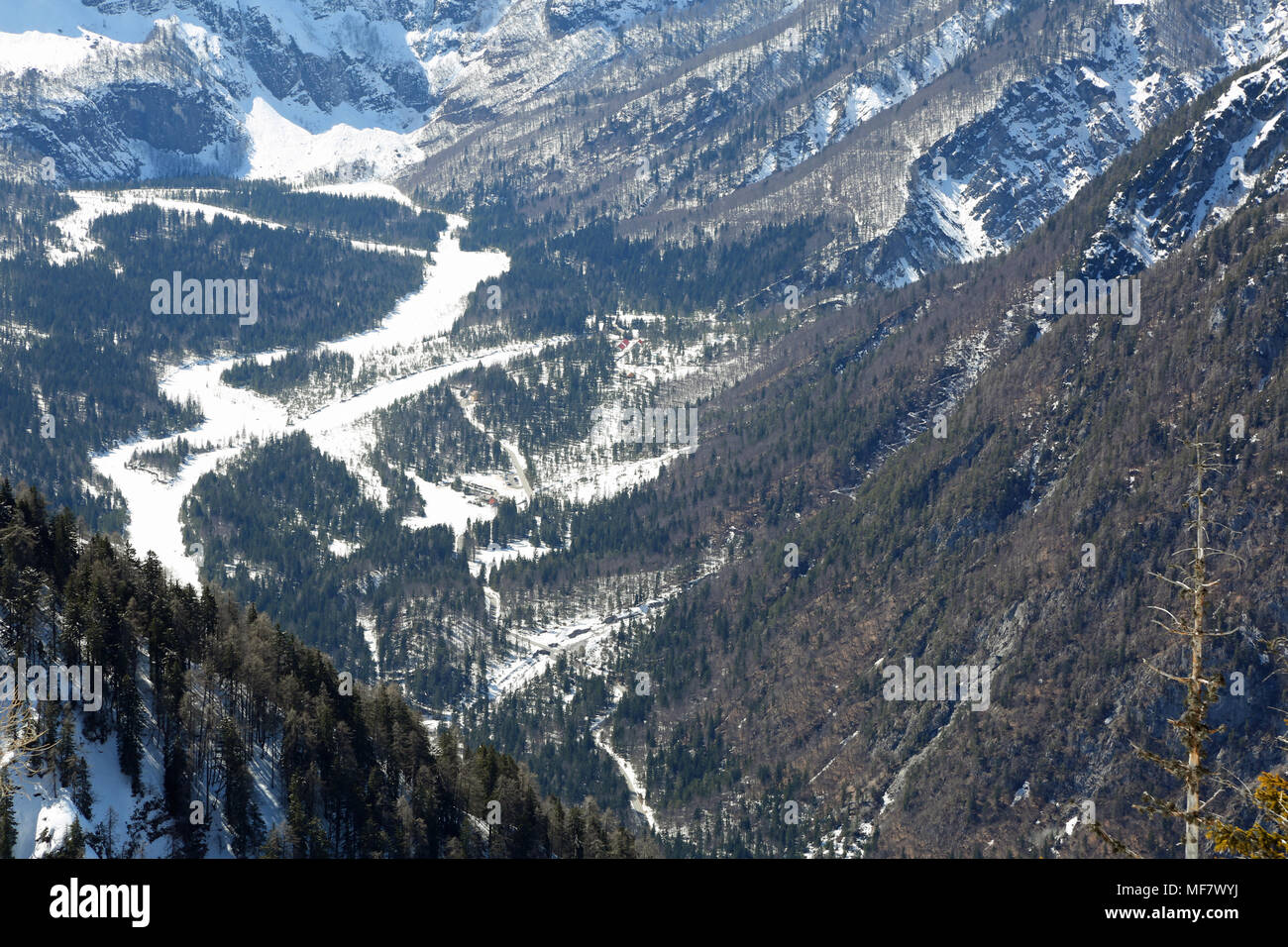 wide valley with snow and trees between mountains in winter Stock Photo ...