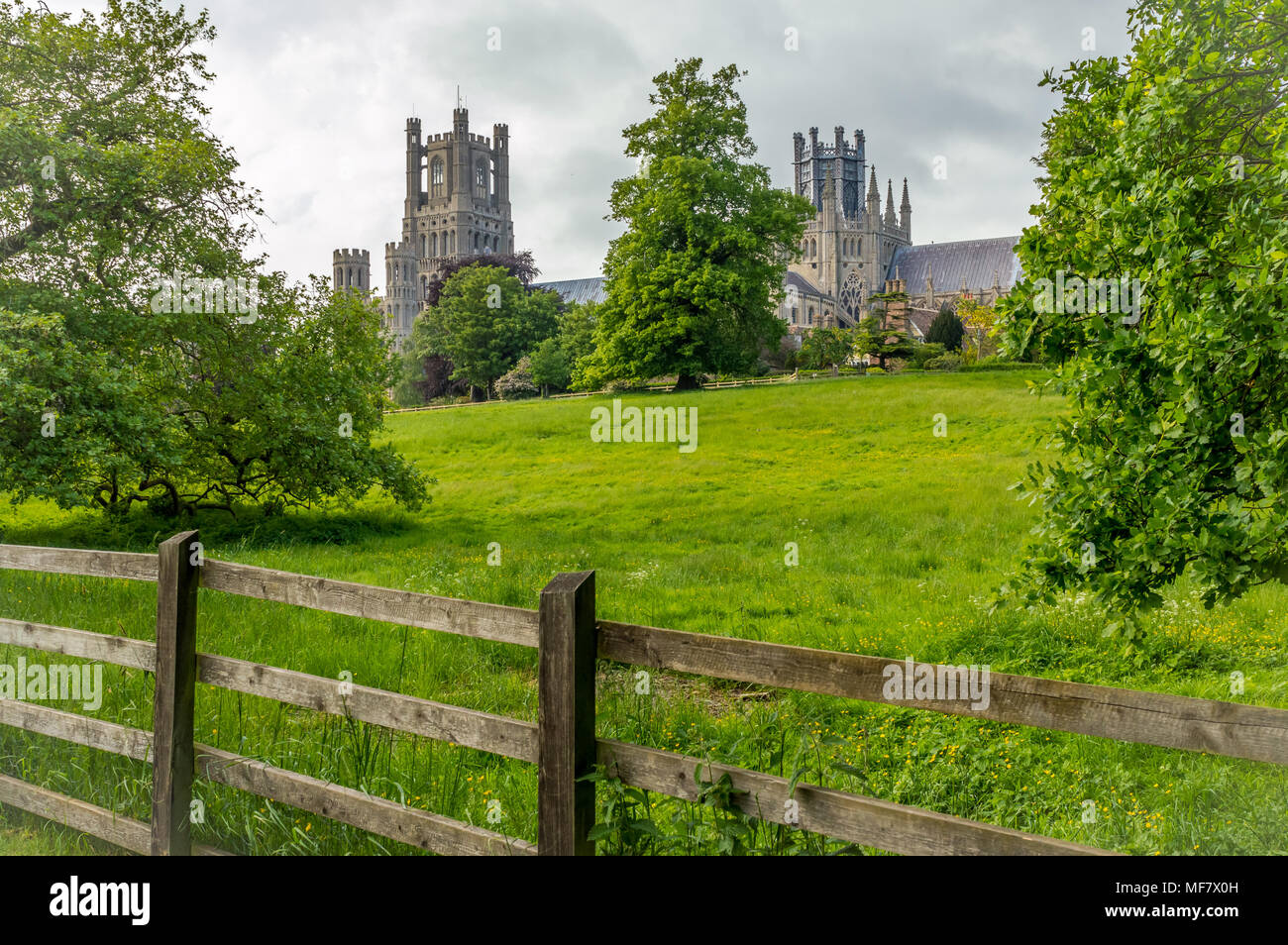 Cambridgeshire england uk english cathedrals hi-res stock photography ...