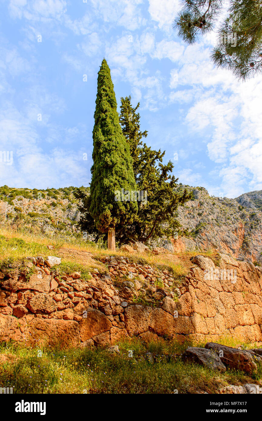 Delphi, an archaeological site in Greece, at the Mount Parnassus ...