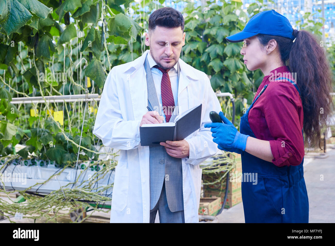 Agricultural farm worker hi-res stock photography and images - Alamy