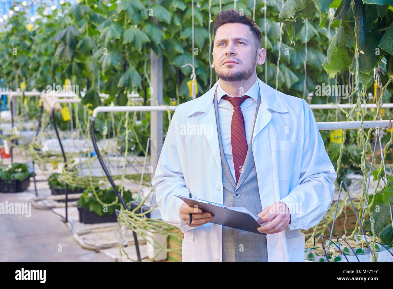 Handsome scientist hi-res stock photography and images - Alamy