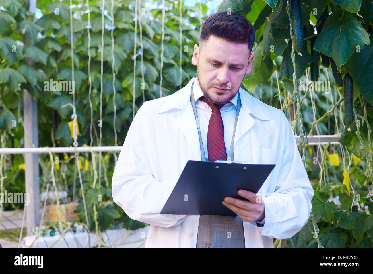 Handsome scientist hi-res stock photography and images - Alamy