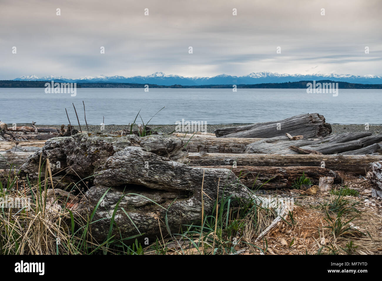 Olympic mountains from seattle hi-res stock photography and images - Alamy
