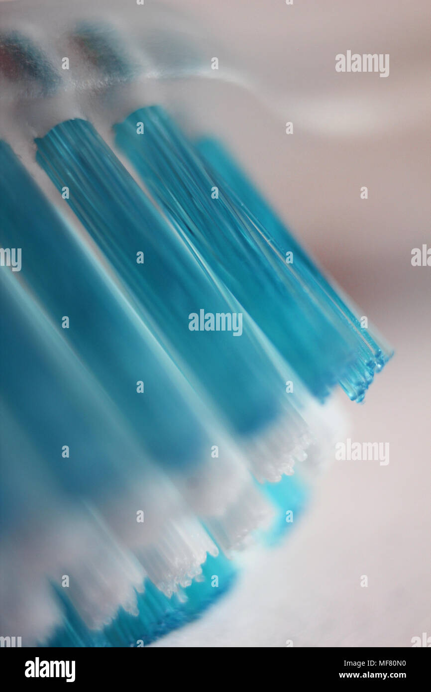 Cleanliness standard hi-res stock photography and images - Alamy