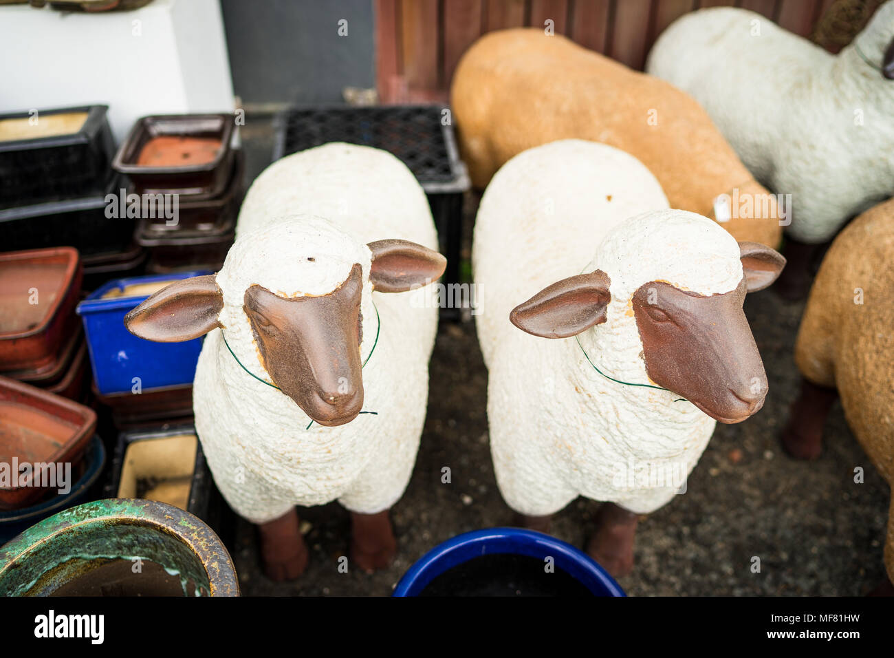 Ceramic sheep hi-res stock photography and images - Alamy